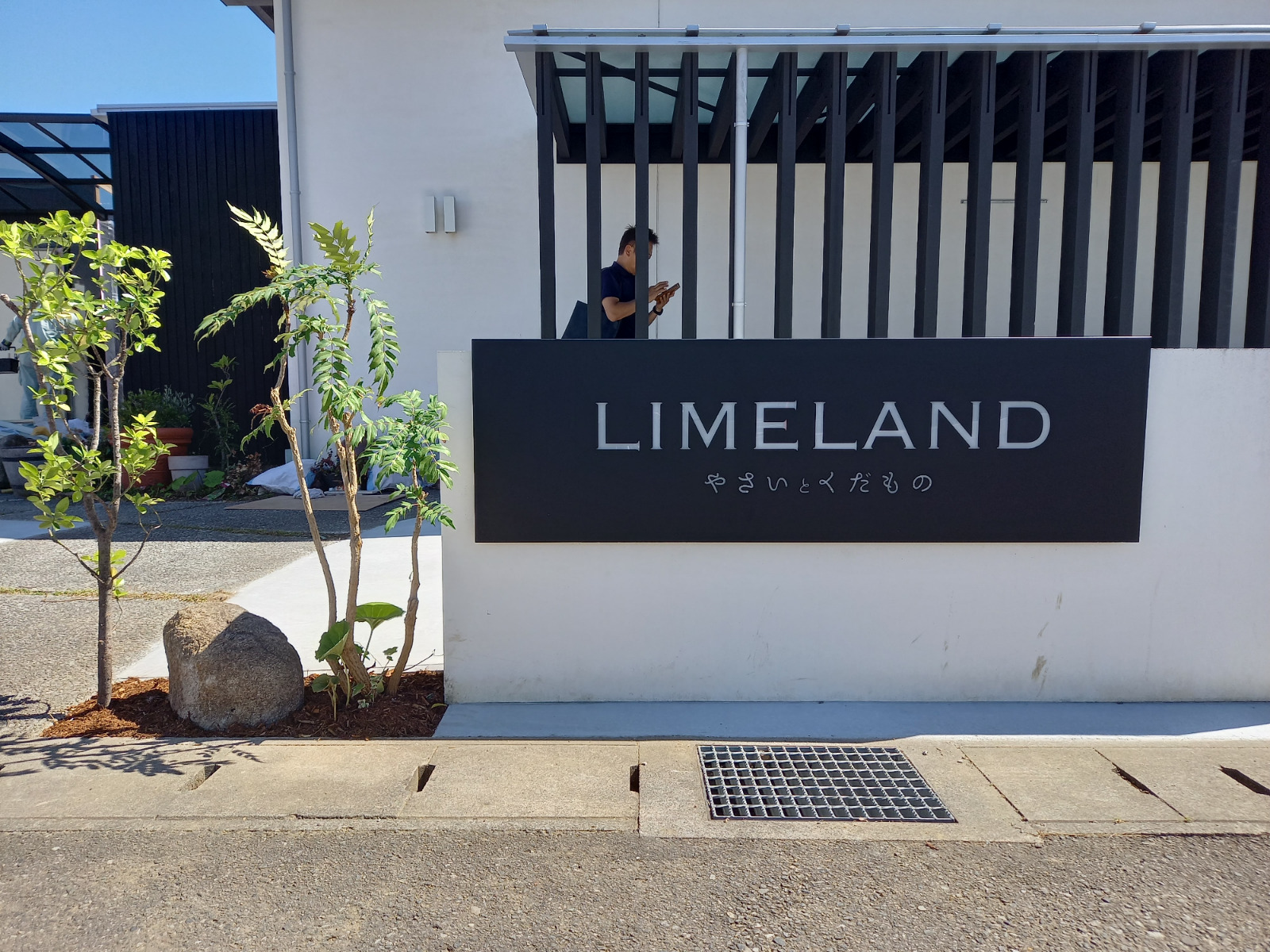 やさいとくだもの のお店 LIME LAND ご存知ですか？ | シュウハウスSTAFF BLOG